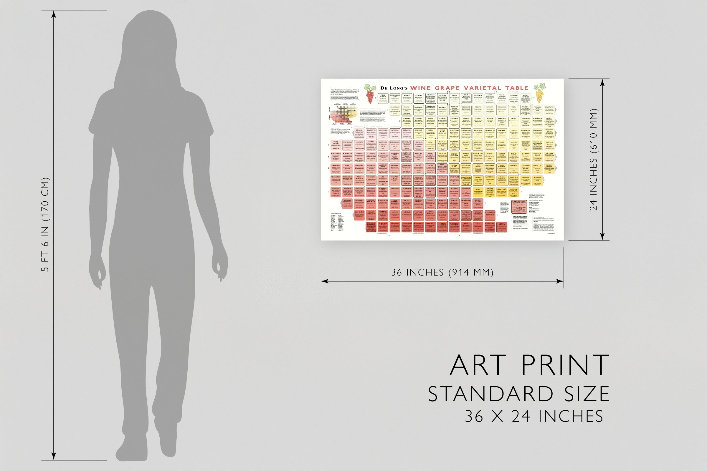 Wine Grape Varietal Table Art Print | De Long