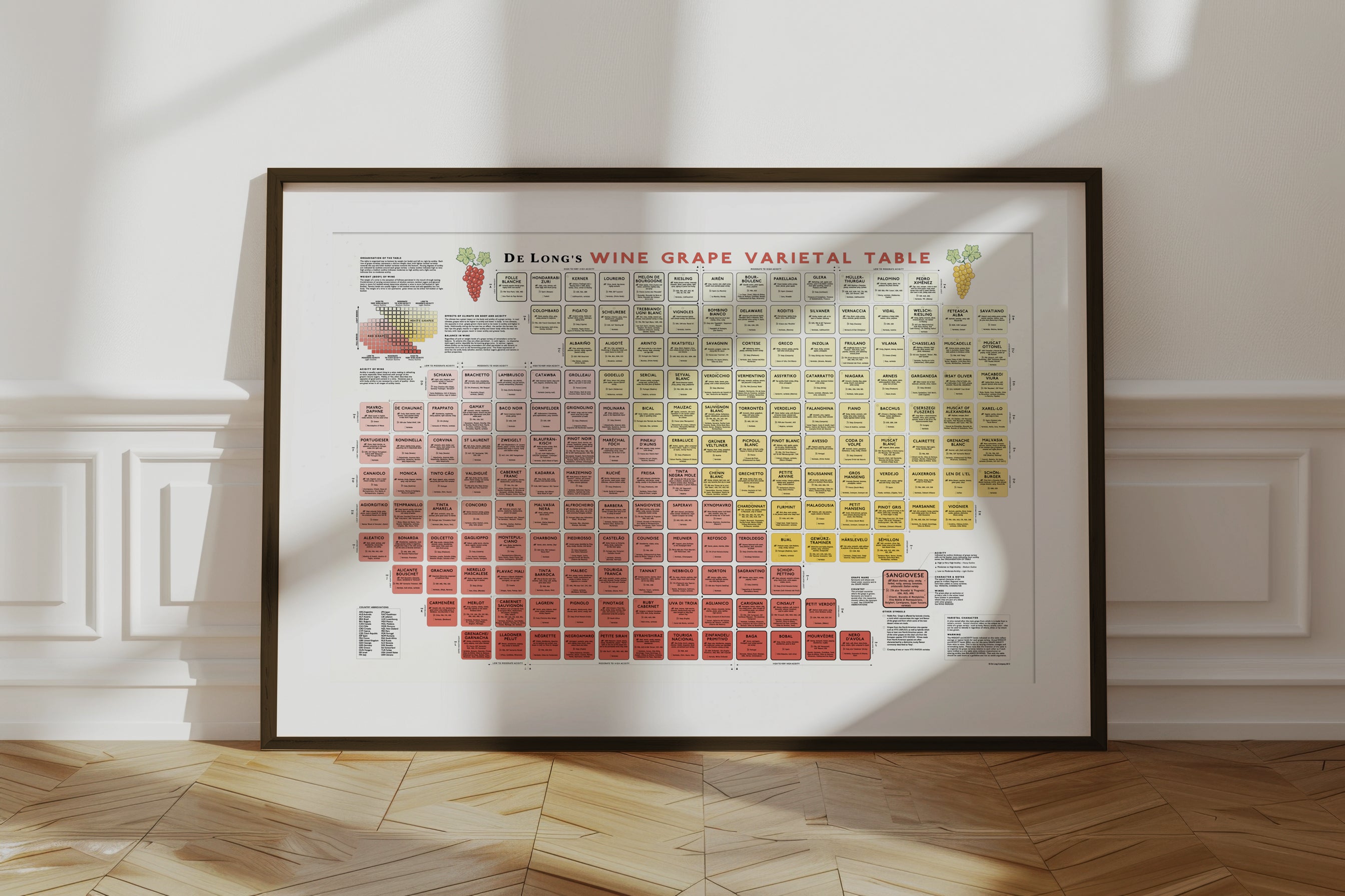 Wine Grape Varietal Table Art Print | De Long