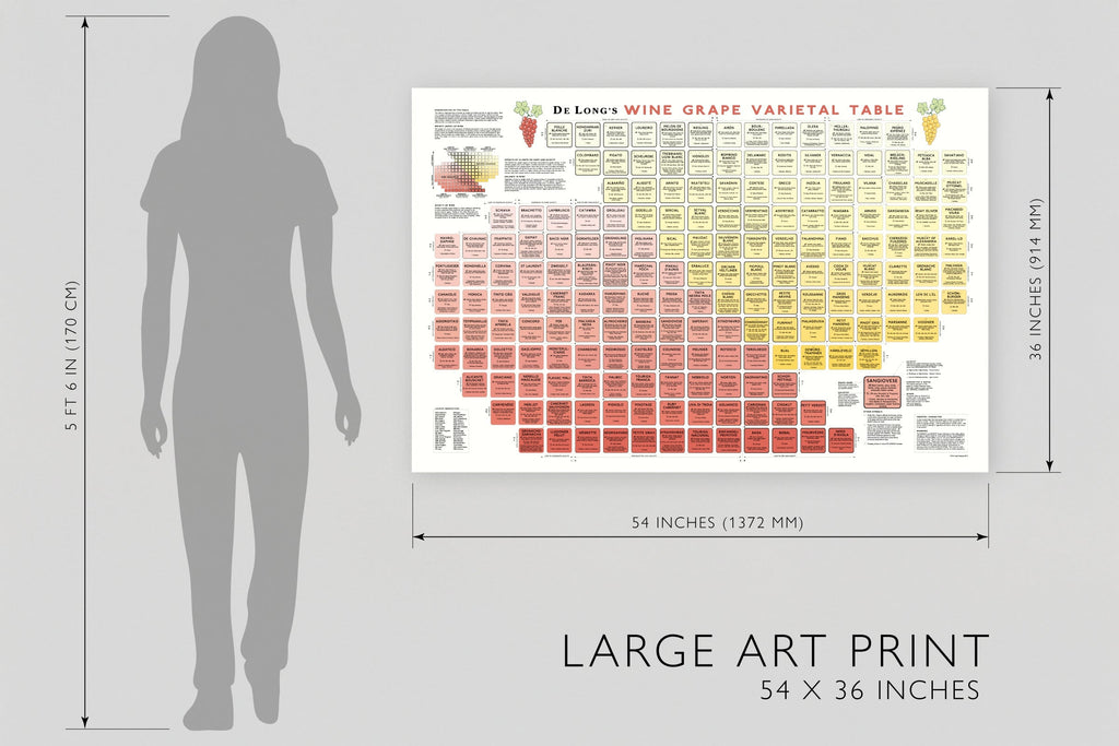 Wine Grape Varietal Table Art Print | De Long