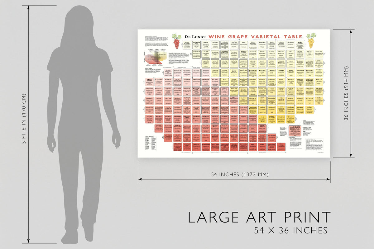 Wine Grape Varietal Table Art Print | De Long