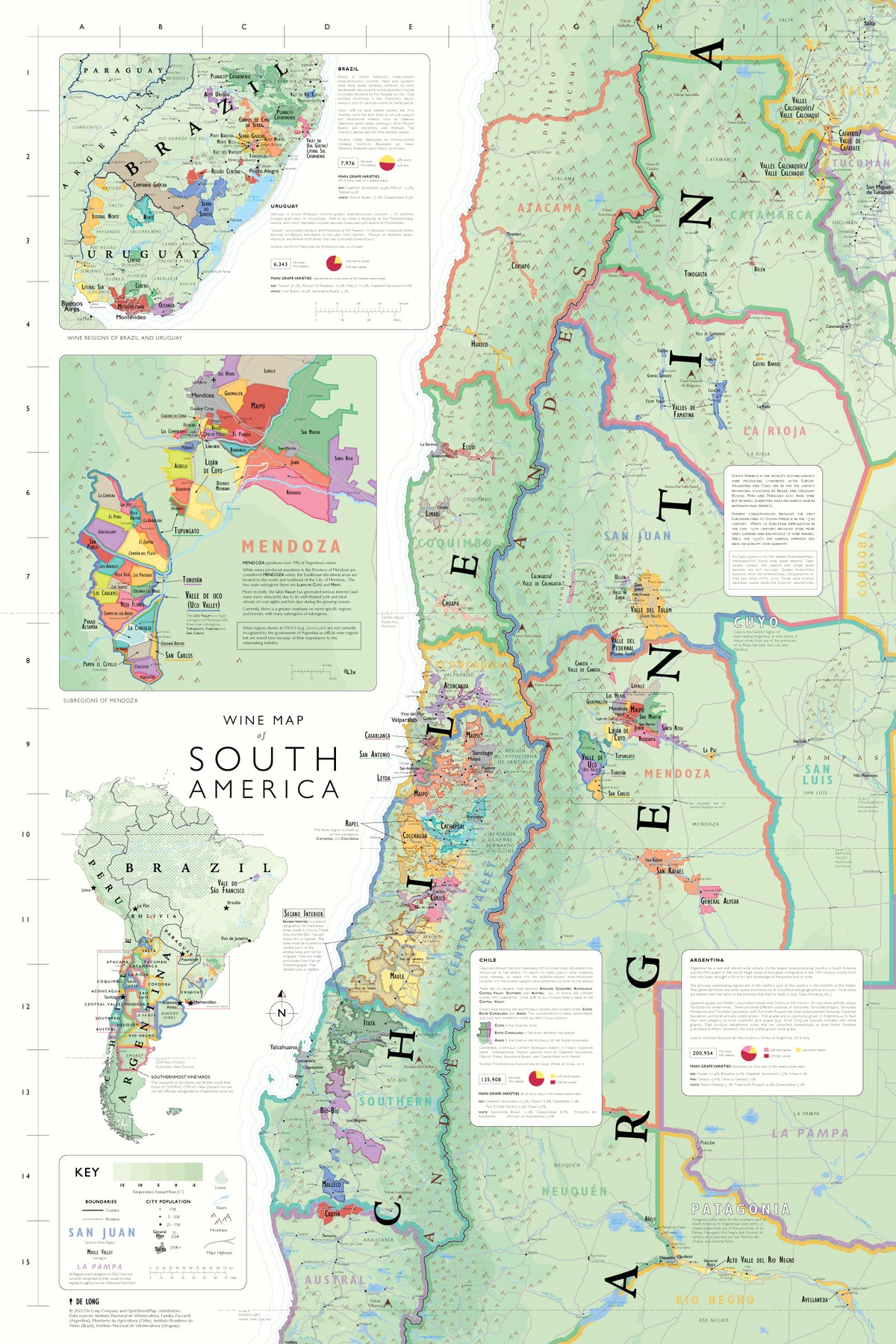 Wine Map of South America Art Print | De Long