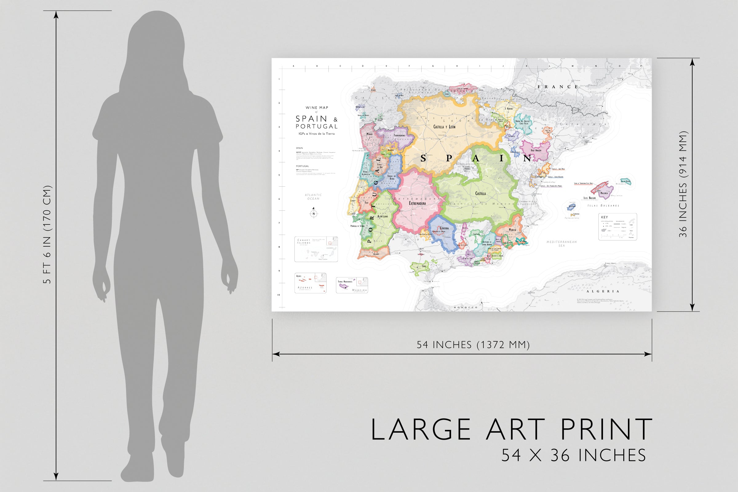 Wine Map of Spain & Portugal IGPs Art Print | De Long